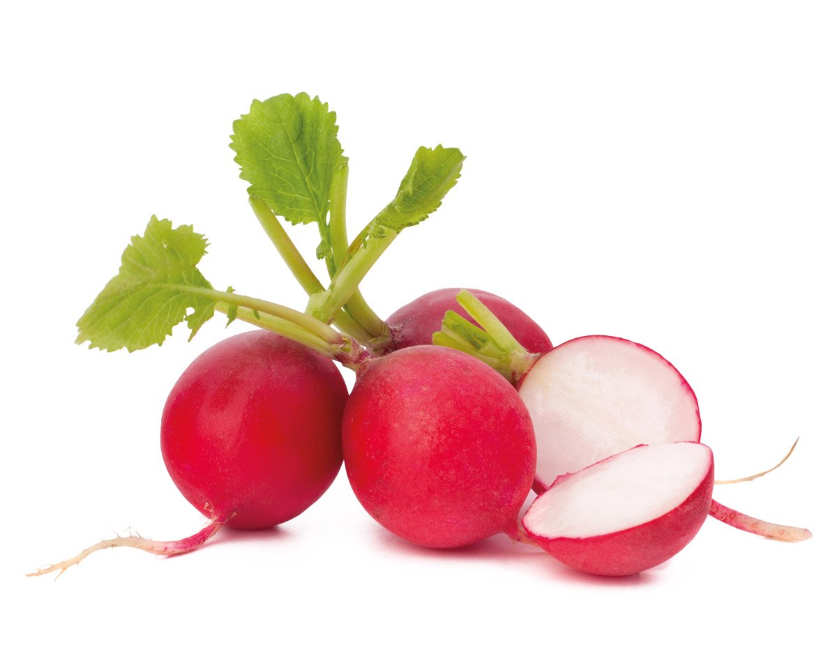 Rábano, el amigo de su salud - Revista Maxi Online