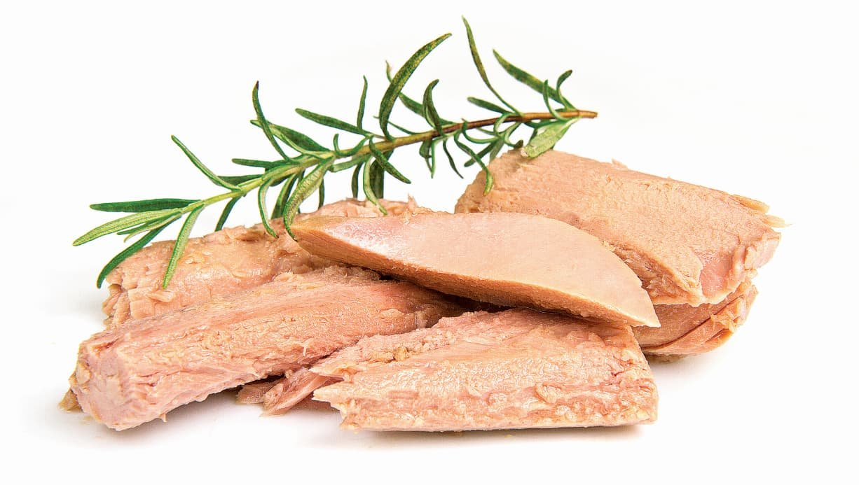 Atún, delicia del mar - Revista Maxi Online