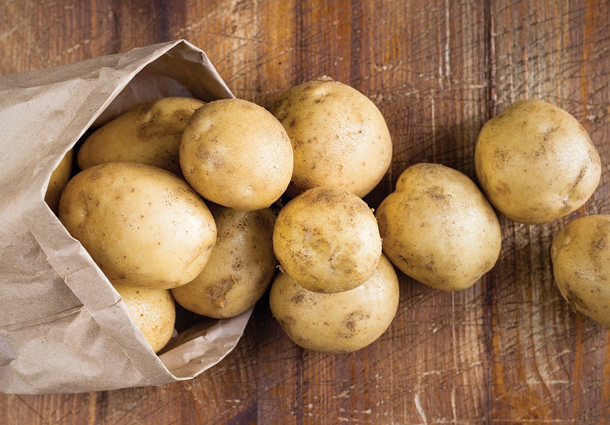 Estrella Culinaria Revista Maxi Online