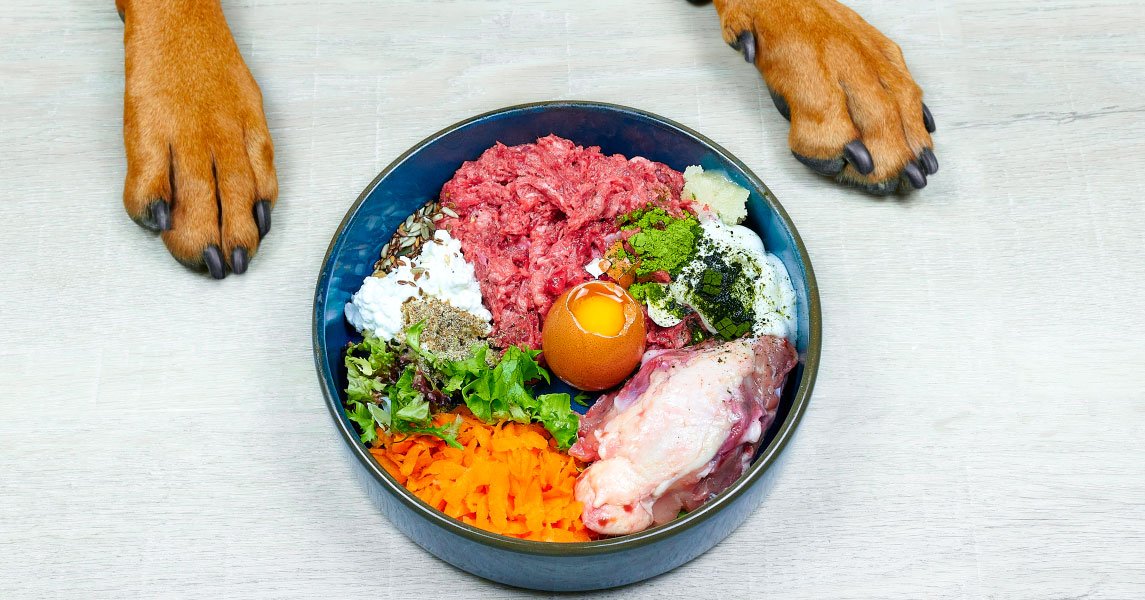 Dieta BARF para un perro saludable - Revista Maxi Online